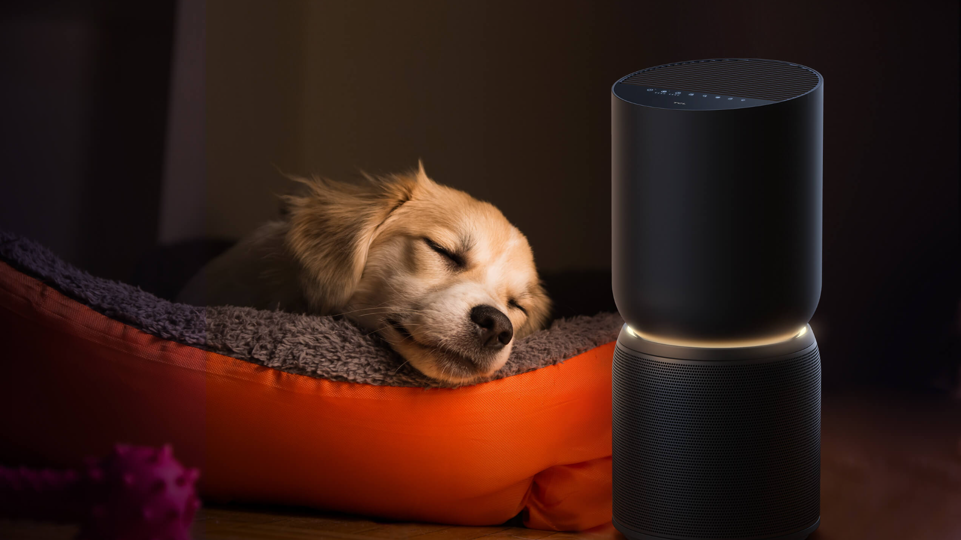 TCL Breeva A5 Air Purifier for Home - TCL Global