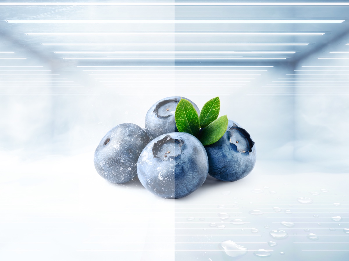 Refrigrator-TRF-296INV/N TRF-296INV/N | TCL Philippines / English