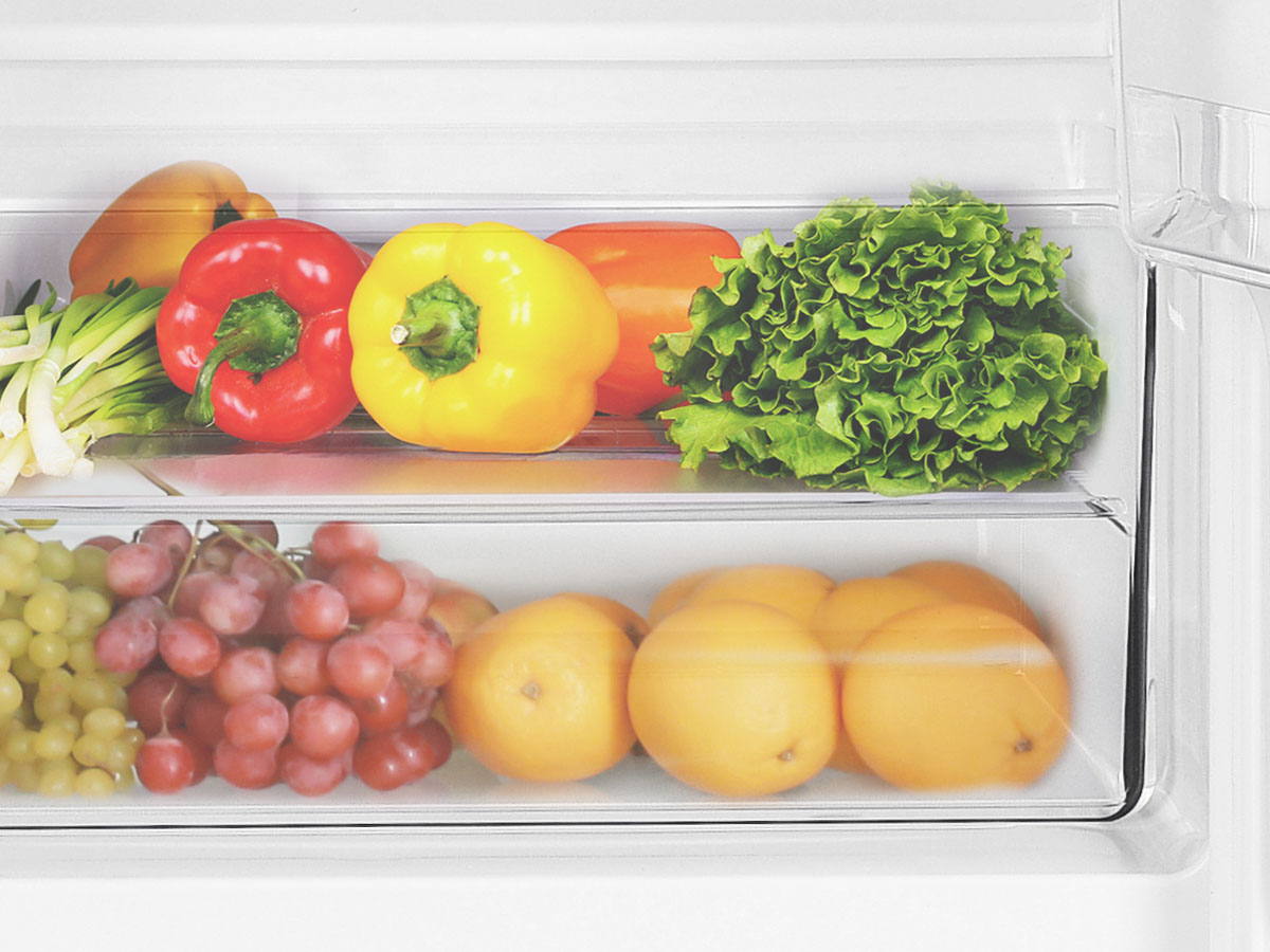 White 197L Top Mount Fridge TCL P220TMW | TCL Australia