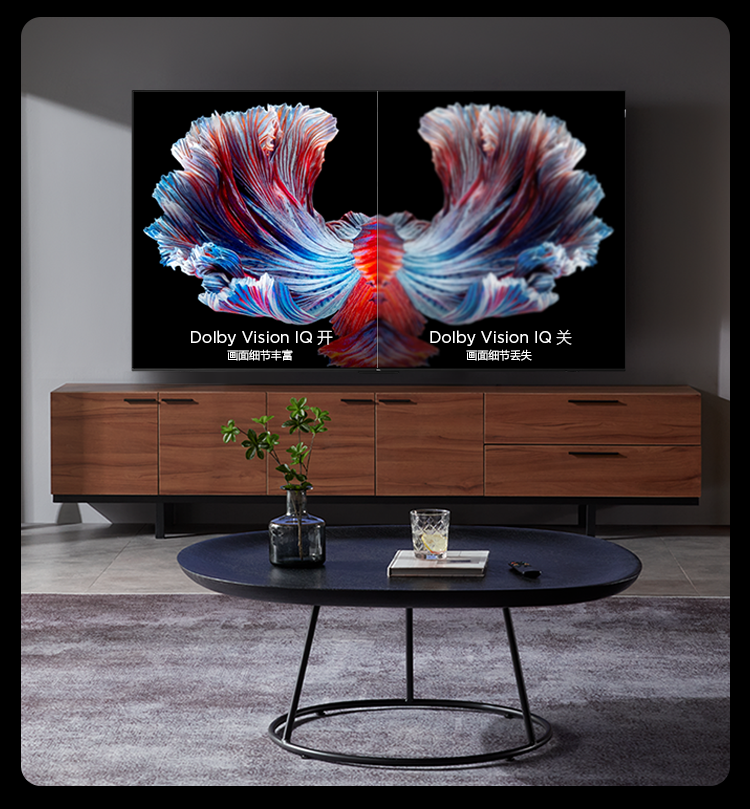 百级分区 QLED智屏 75T9G