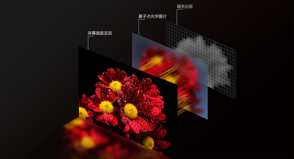 TCL C11-85英寸QLED大屏电视-光色猎手 | TCL官网