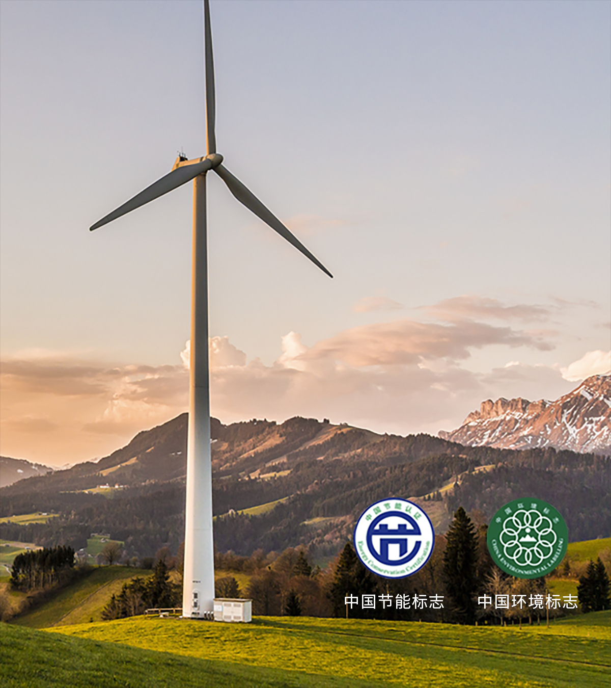 TCL75英寸商用电视-75G60E-AI智屏 | TCL官网