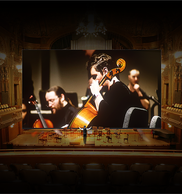 144Hz 真高刷电视 55T7E