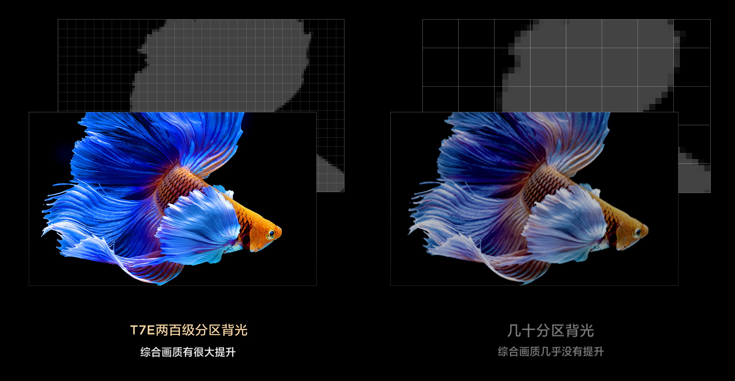 TCL 98英寸T7E巨幕电视-144Hz真高刷巨幕 | TCL官网