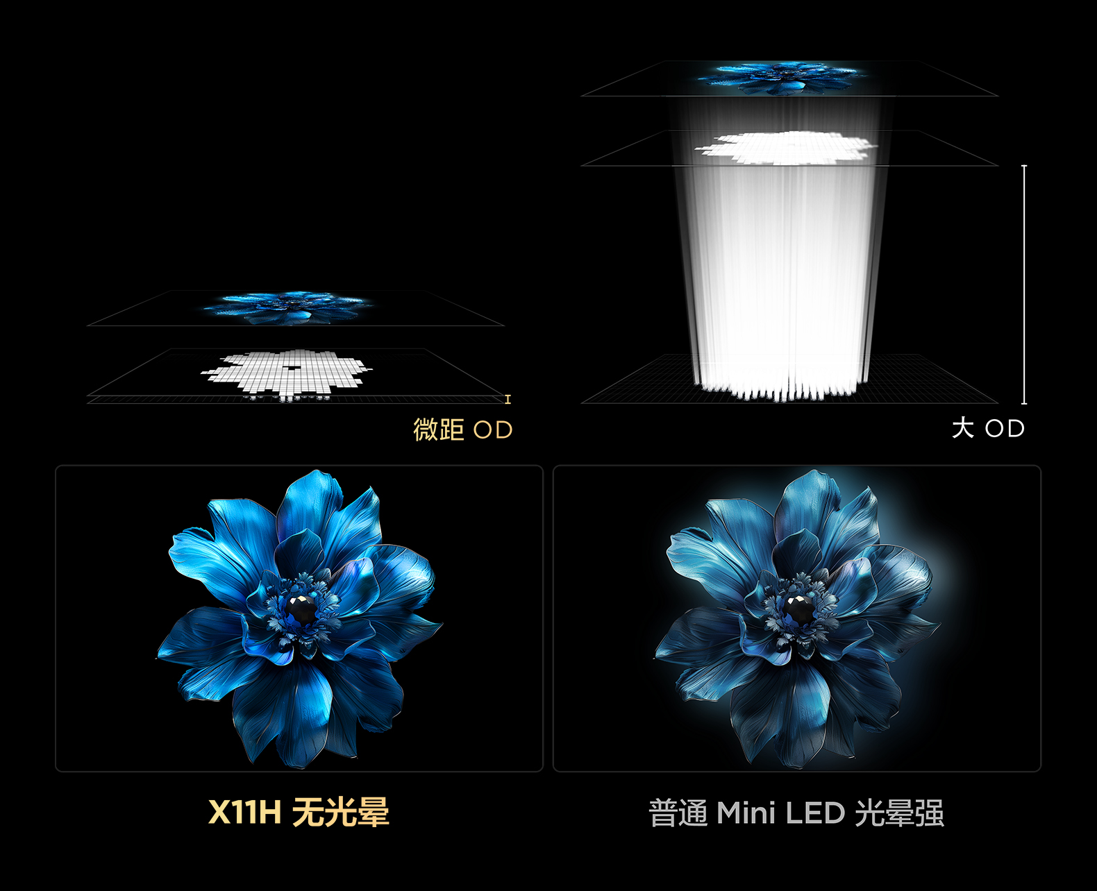 X11H 领曜 QD-Mini LED电视｜TCL 官网