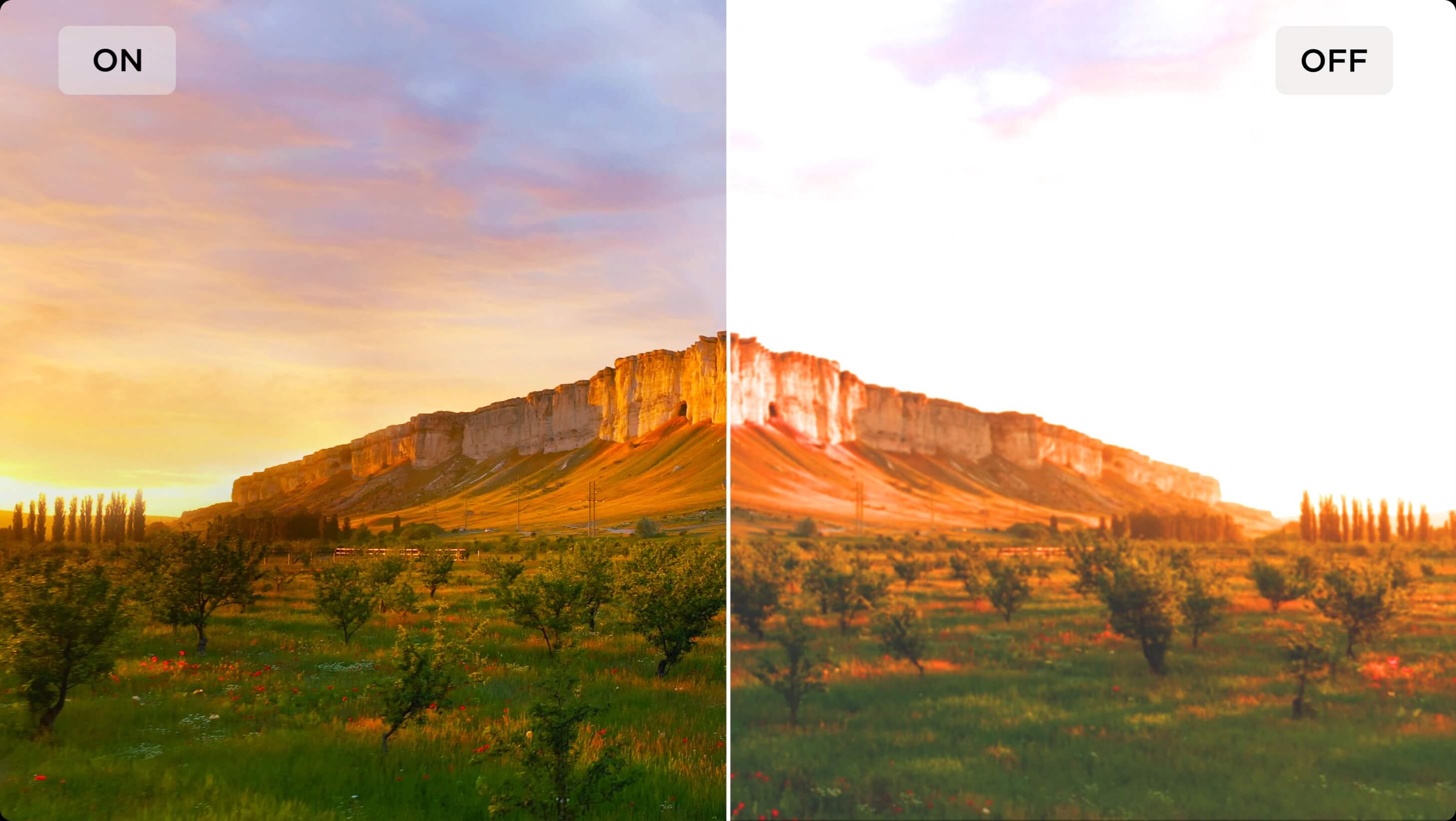 TCL Picture Technology | TCL UK