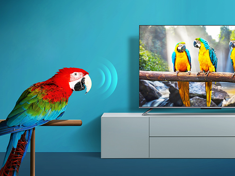 TCL P745 43～75インチ 4Kテレビ ドルビーアトモス搭載 | TCLジャパン